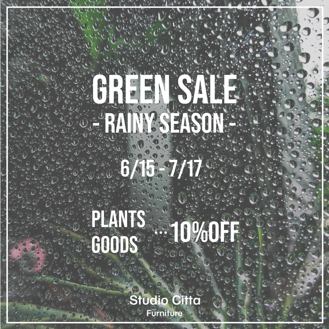 RAINY SEASON CAMPAIGN !! | Studio Citta Furniture